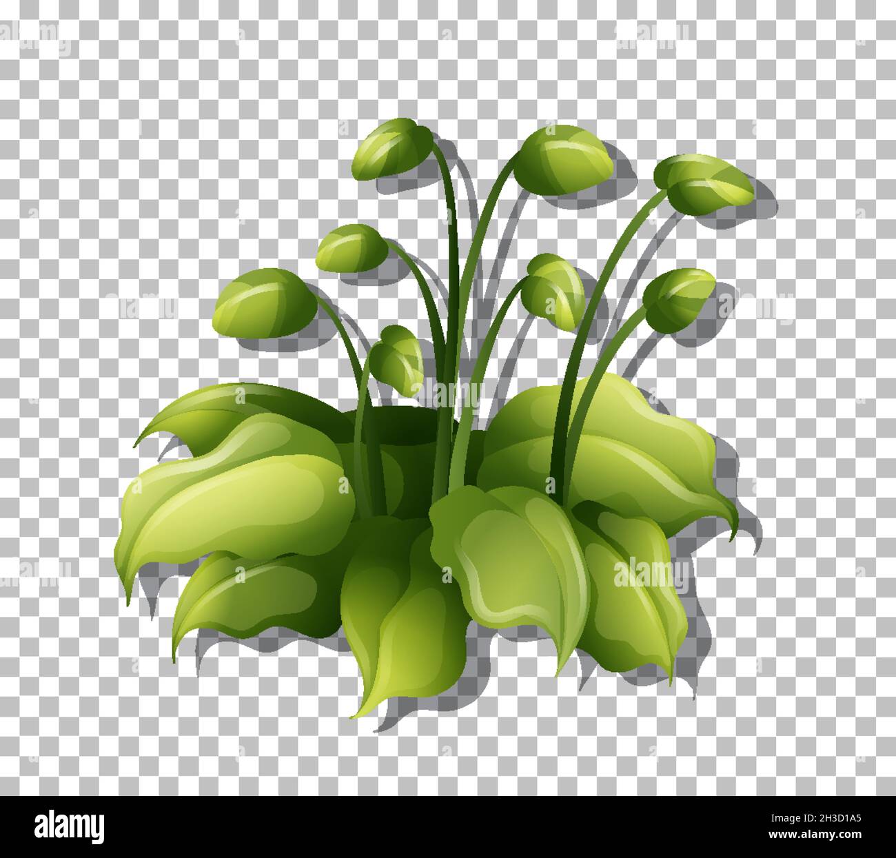 Tropical plant on transparent background illustration Stock Vector ...