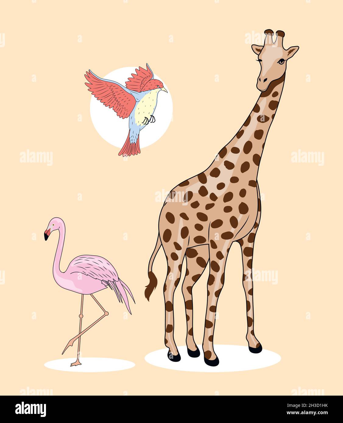 three wild animals set icons Stock Vector Image & Art - Alamy