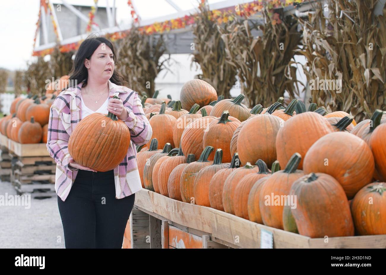27 oct 2021 hi-res stock photography and images - Alamy