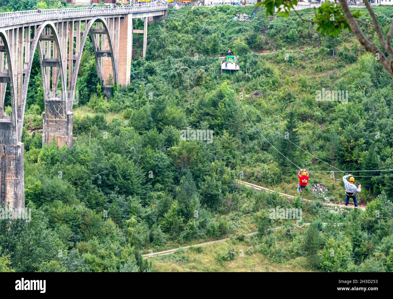 Tara zip line hi-res stock photography and images - Alamy