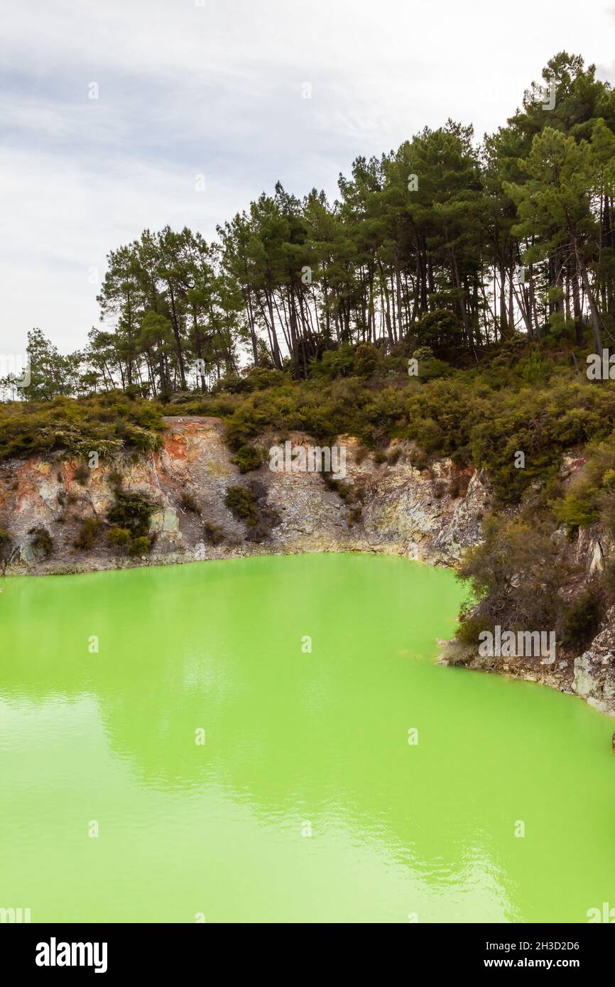 Wai-o-tapu Thermal park. Small bright green lake. North island. New ...