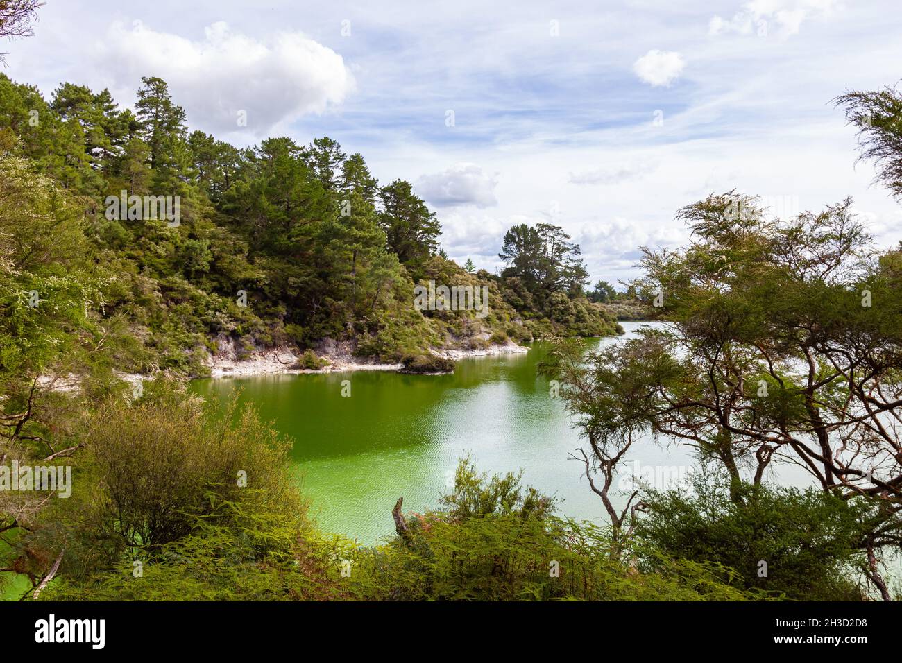 Green lake. Wai-o-tapu place. North island. New Zealand Stock Photo - Alamy