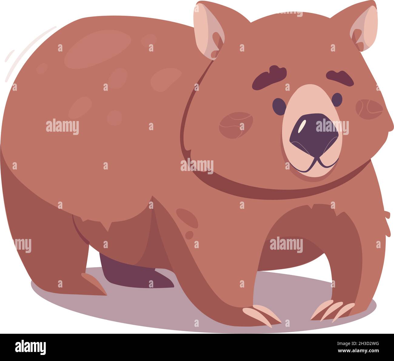 Wombat vector, cute marsupial beast. Funny burrowing animal from the ...