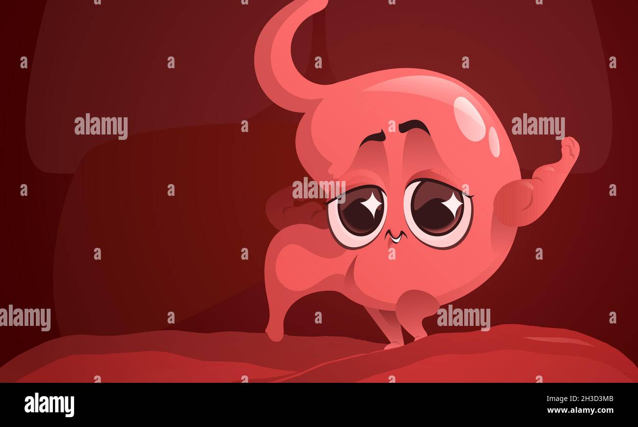 Cartoon healthy stomach in abdomen, cute character Internal organ ...