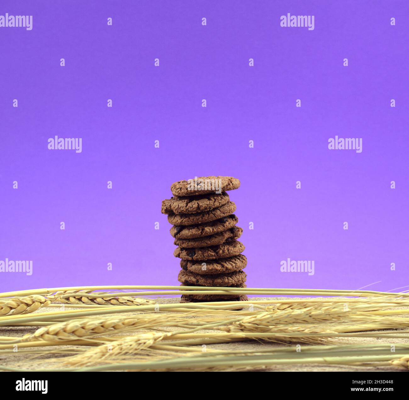 Still life, fine art, gastronomy concepts of chocolate raisin cookies ...