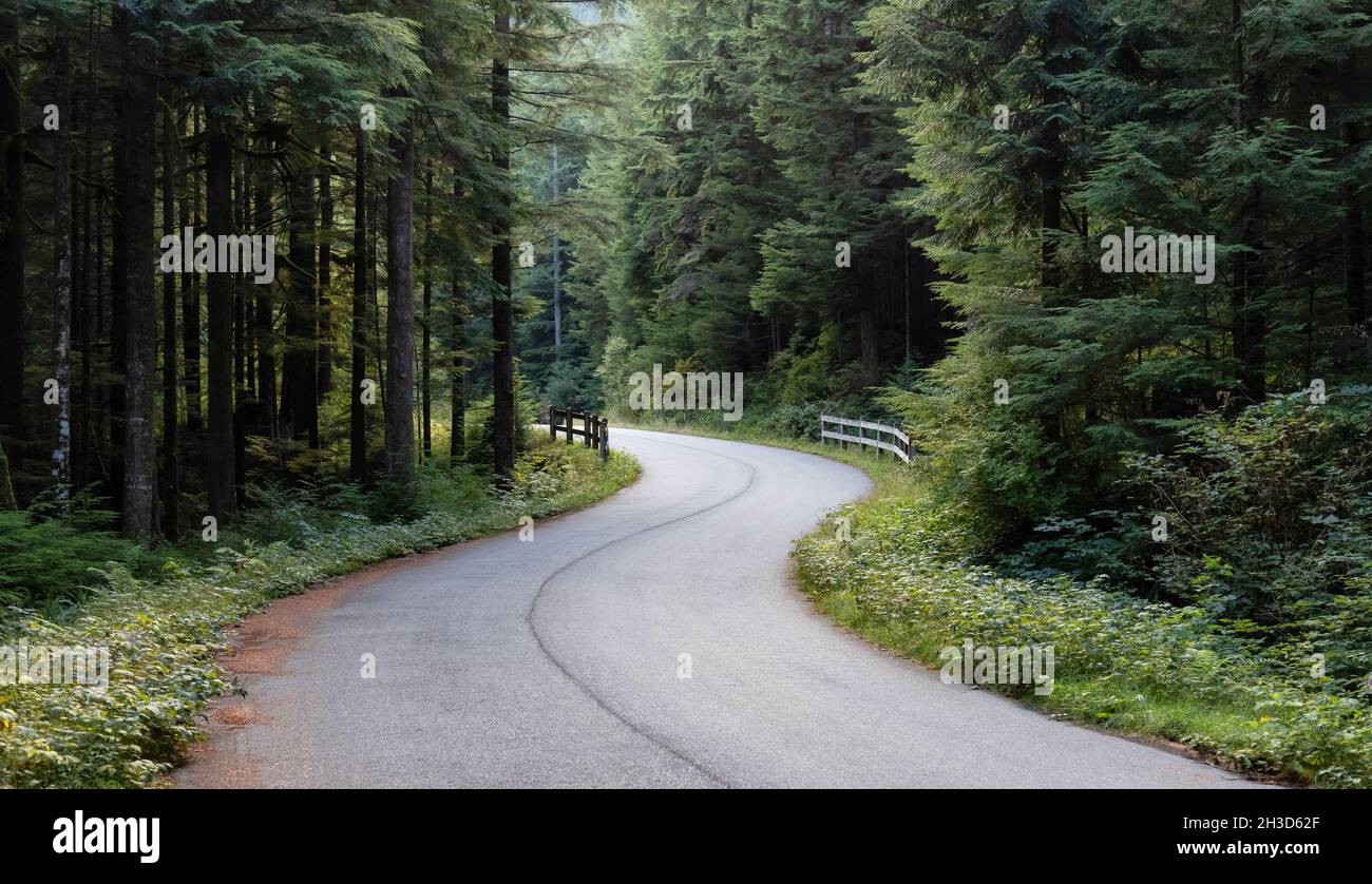 Scenic Bike path in Green Canadian Rain Forest Stock Photo - Alamy