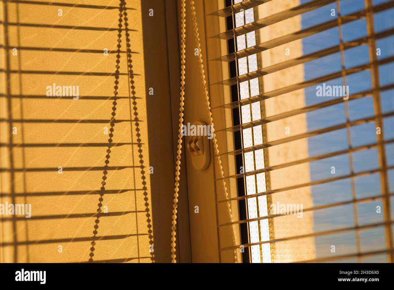 Sunset sun shines through the blinds. Golden hour Stock Photo - Alamy