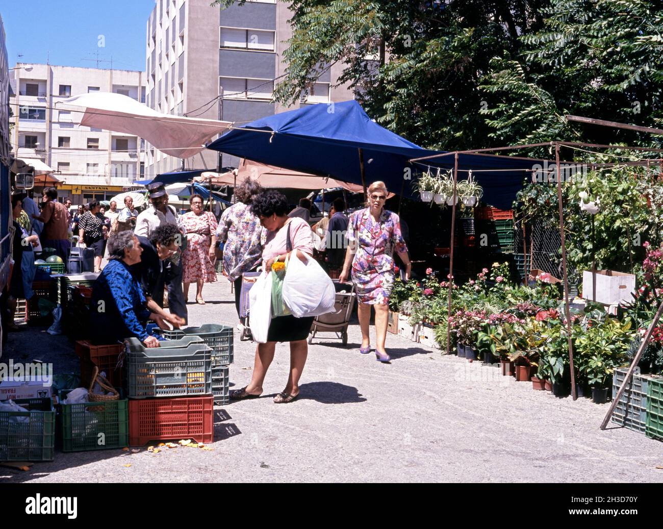 Market stall albox market albox hi-res stock photography and images - Alamy