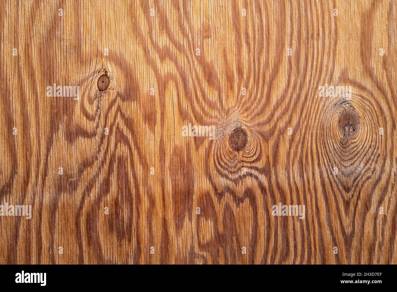 The surface detail of a knotty wood panel Stock Photo - Alamy