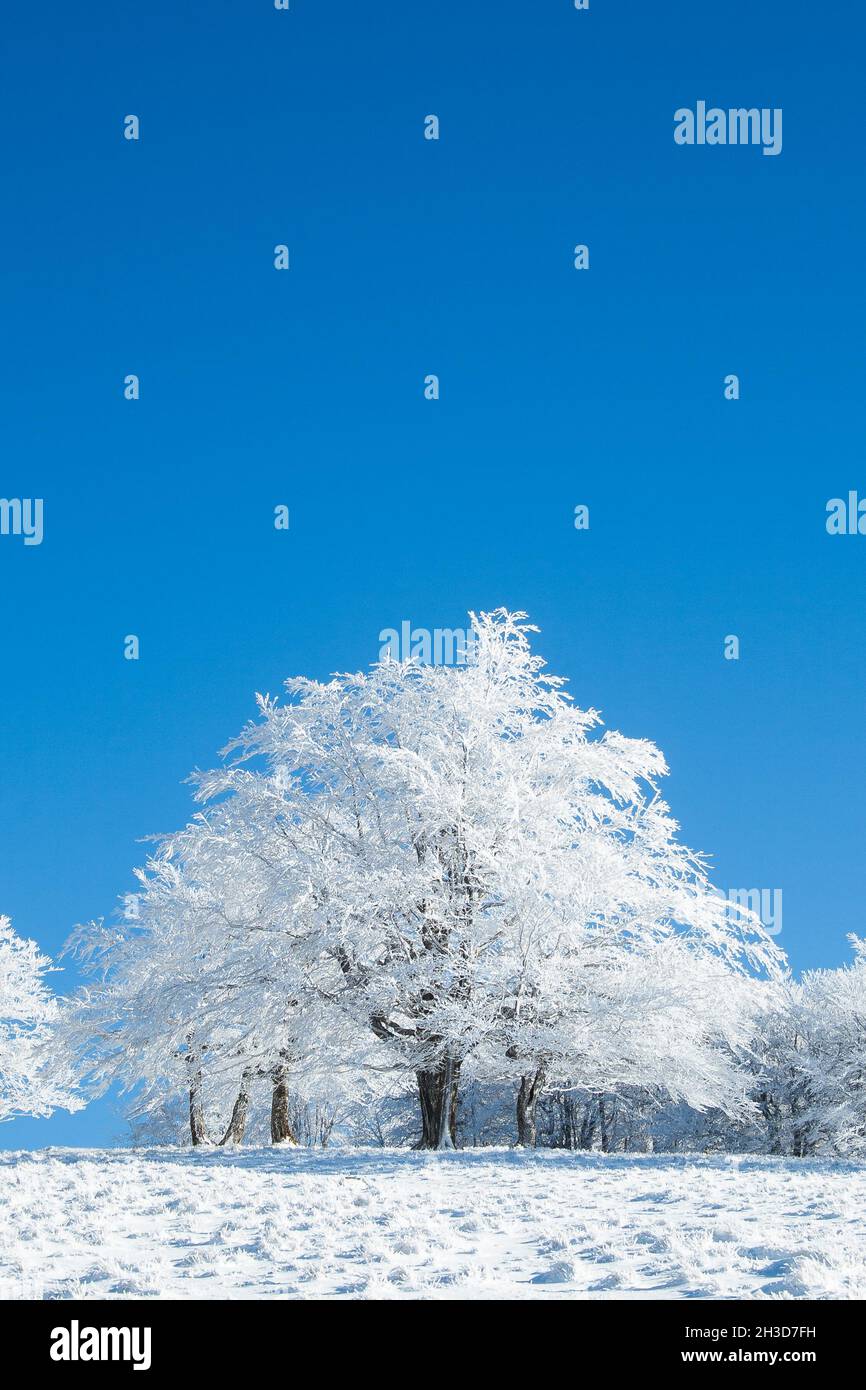 Snow white tale illustration hi-res stock photography and images - Alamy