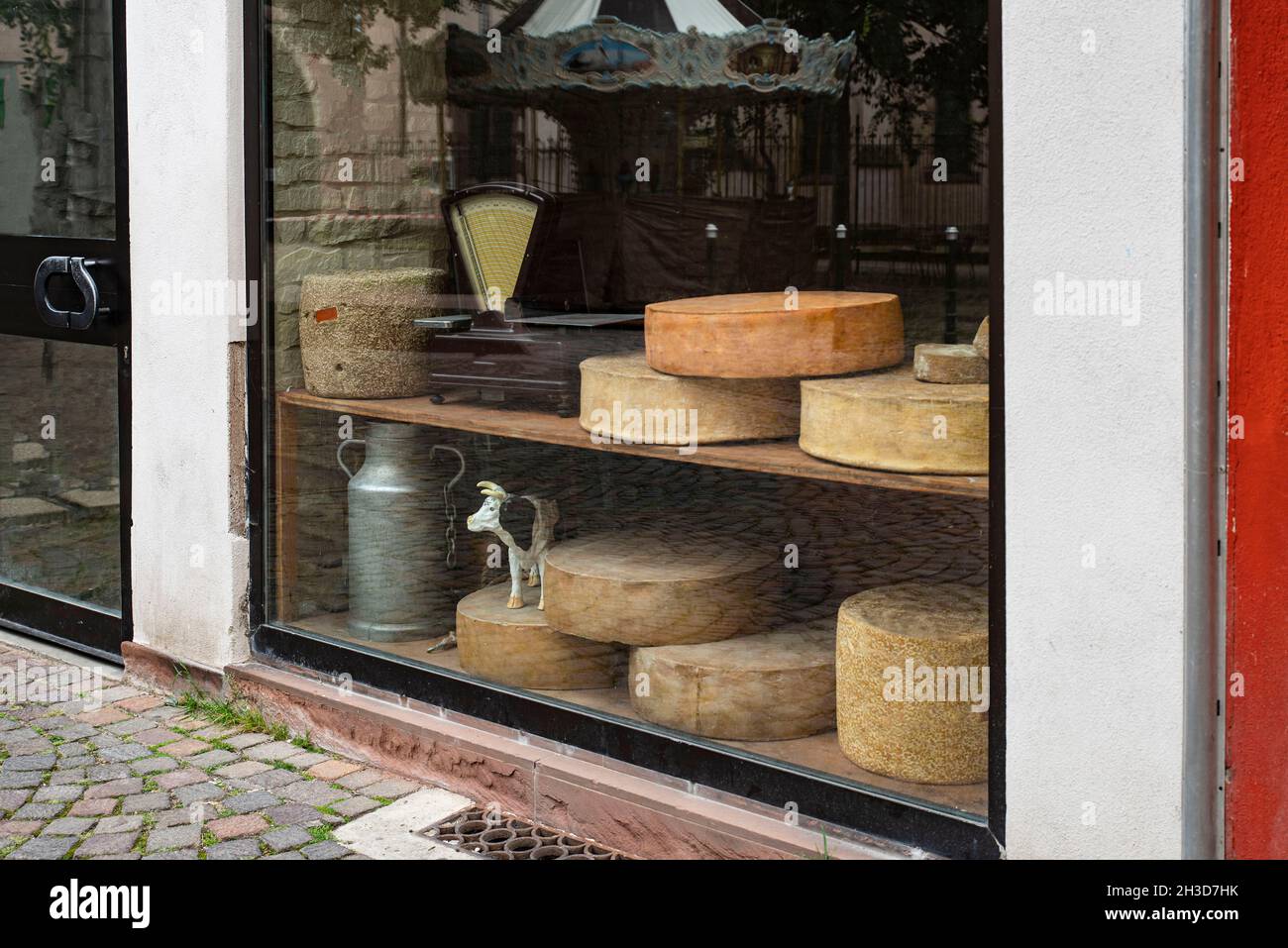 Cheese shop window with wheels of cheese Stock Photo - Alamy