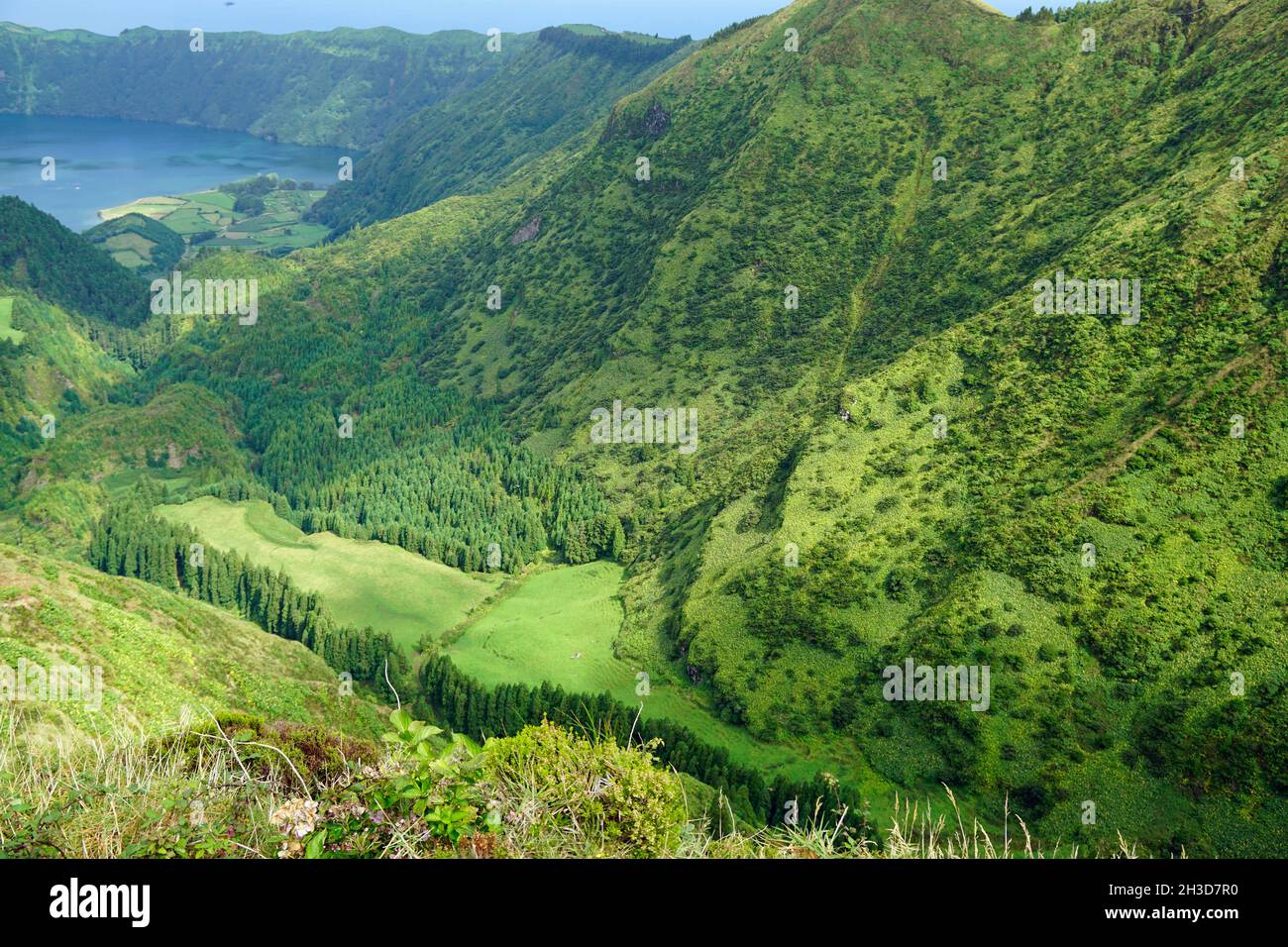 amazing green landscape on the azores island sao miguel Stock Photo - Alamy