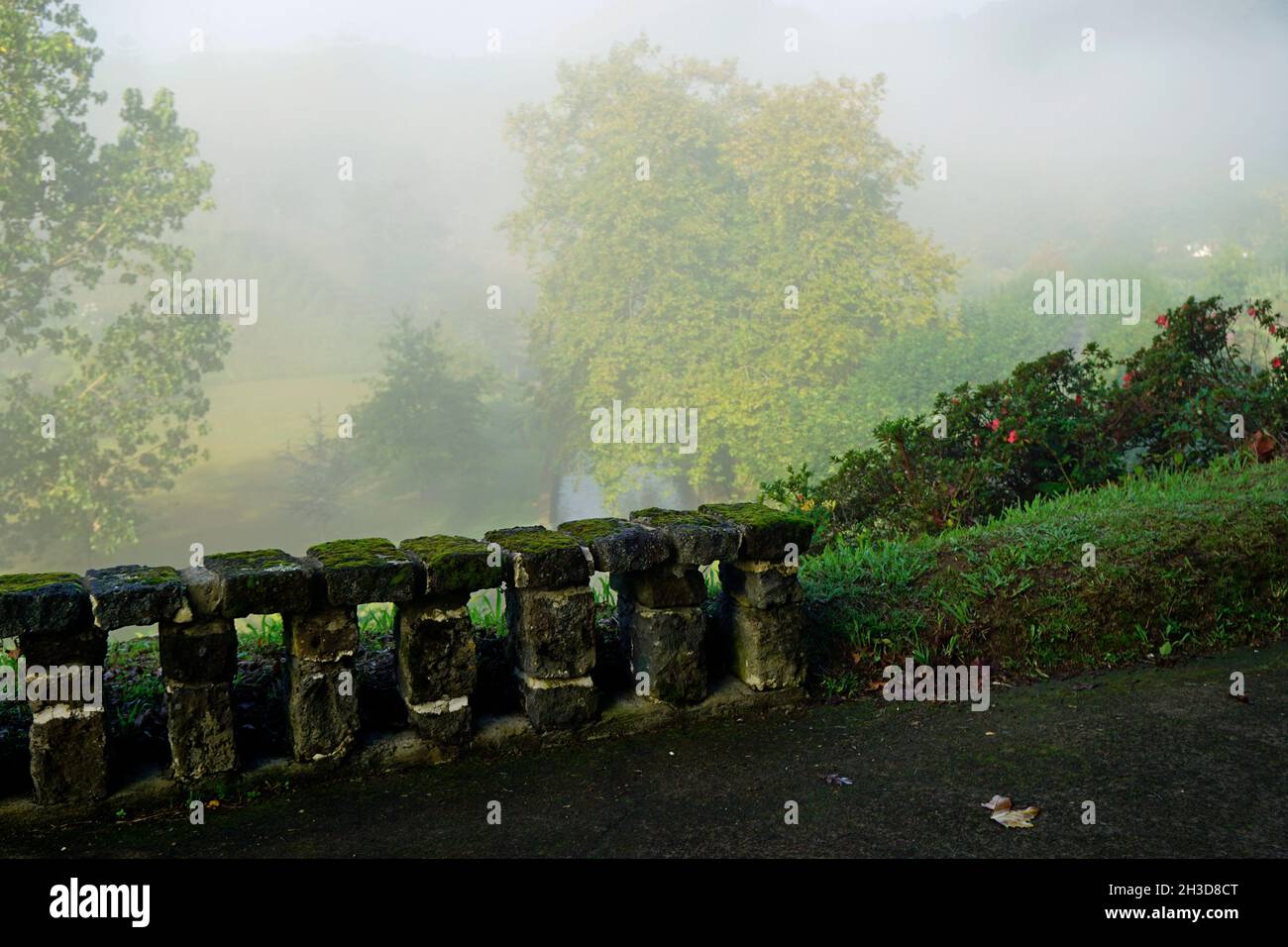 old overgrown bridge railing on sao miguel island Stock Photo - Alamy