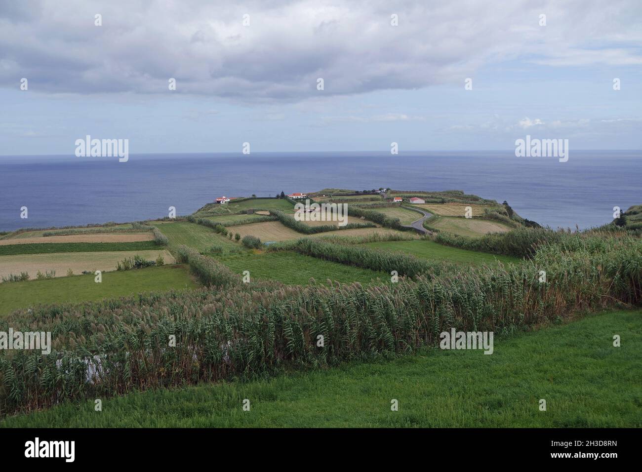 green farmland on the azores islands Stock Photo - Alamy