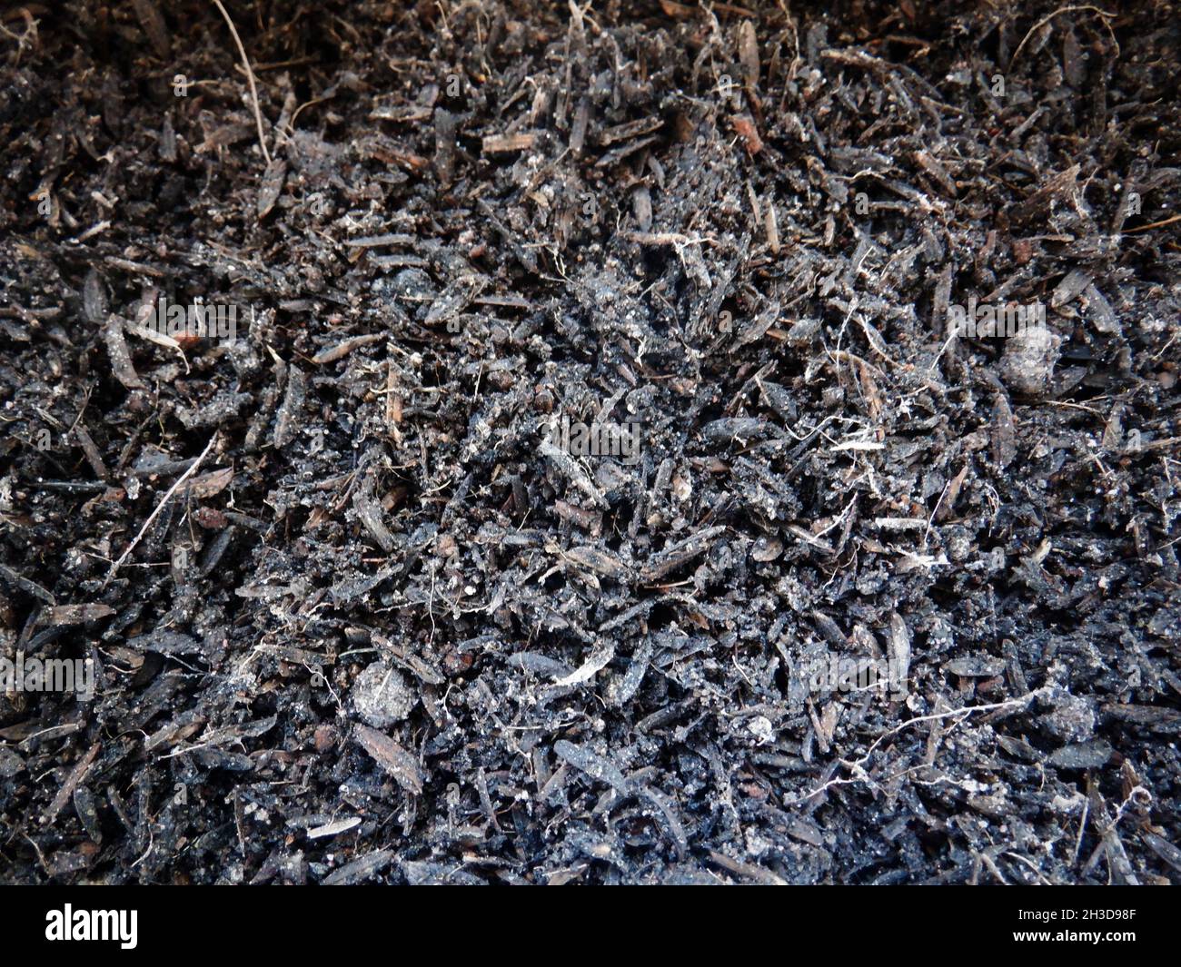 top view of soil texture background Stock Photo - Alamy