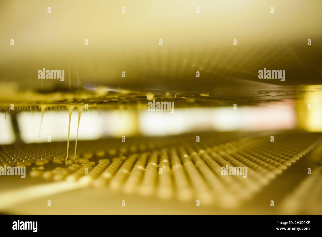 Chocolate production factory - production line. High quality photo ...