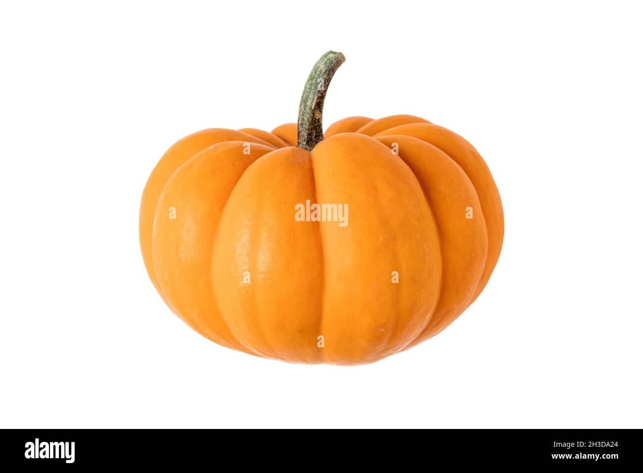 Autumn food background organic Cut Out Stock Images & Pictures - Alamy