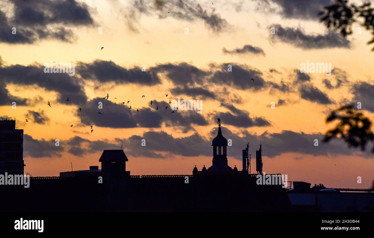 Britain england english uk british brighton sussex coast octobe hi-res ...