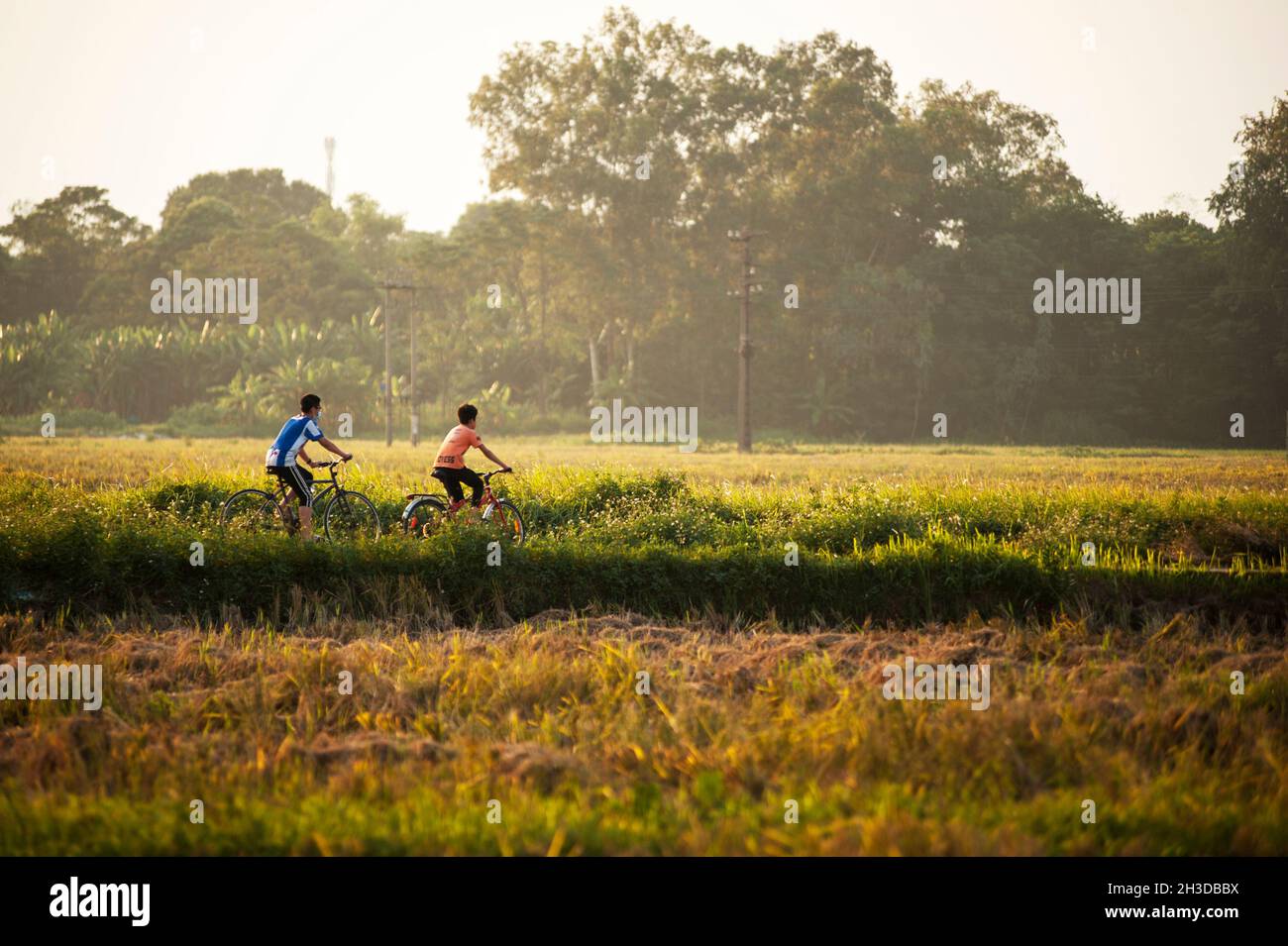 Biking in the countryside Stock Photo - Alamy