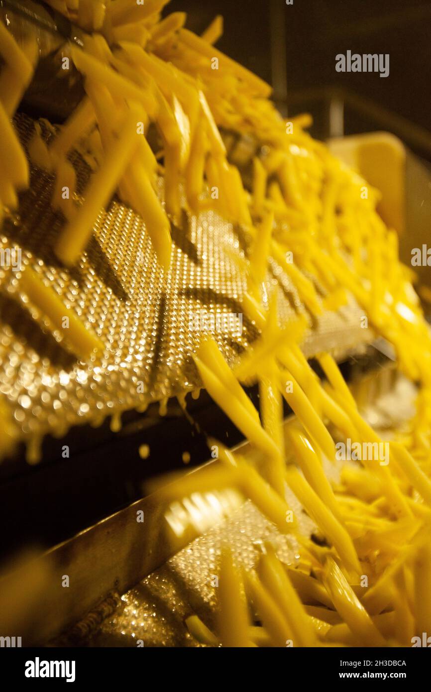 Production line of a potato factory. French fries - fast food Stock ...
