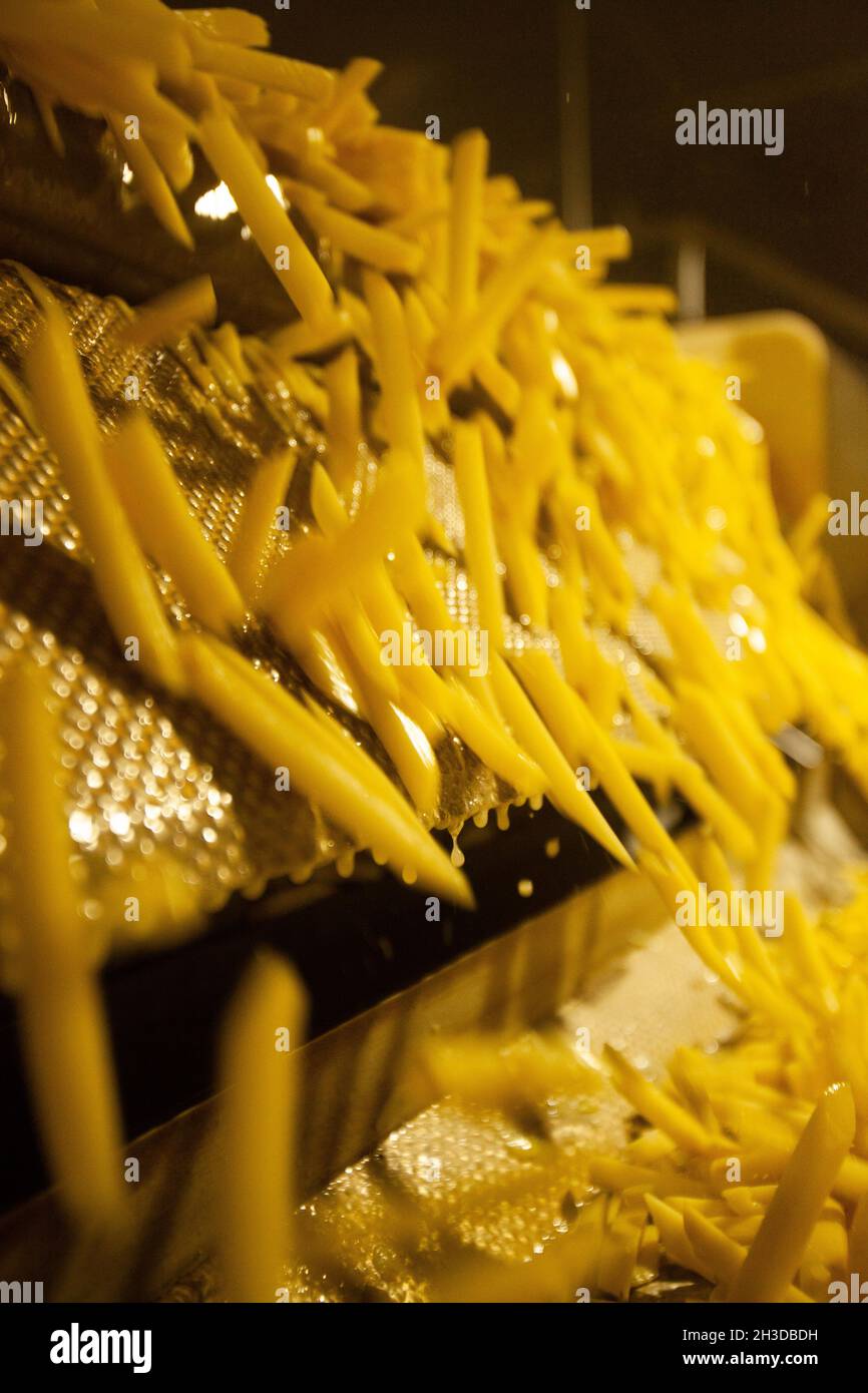 Production line of a potato factory. French fries - fast food Stock ...