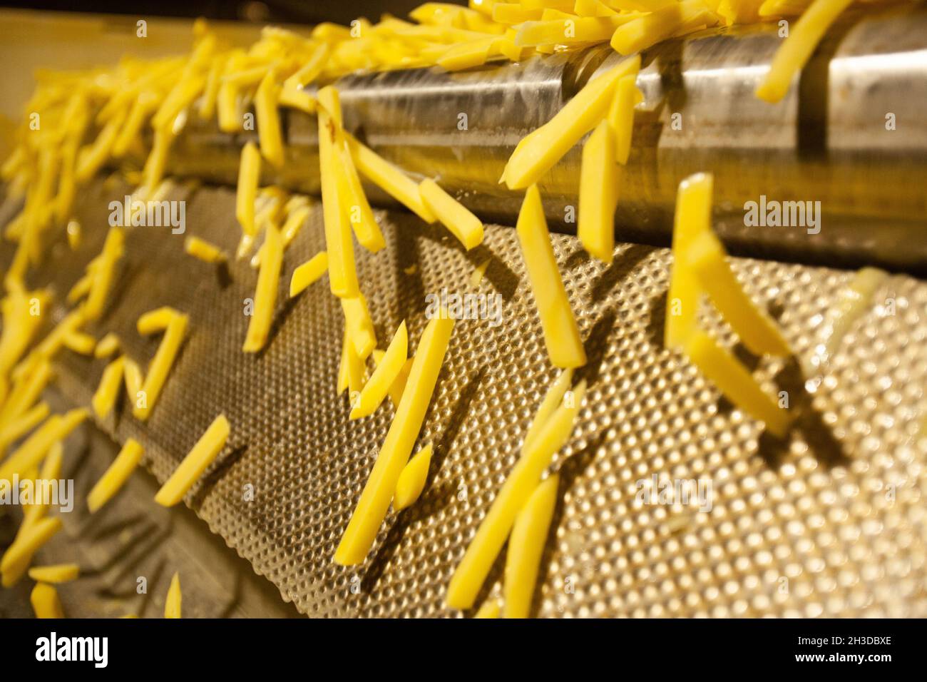 Production line of a potato factory. French fries - fast food Stock ...