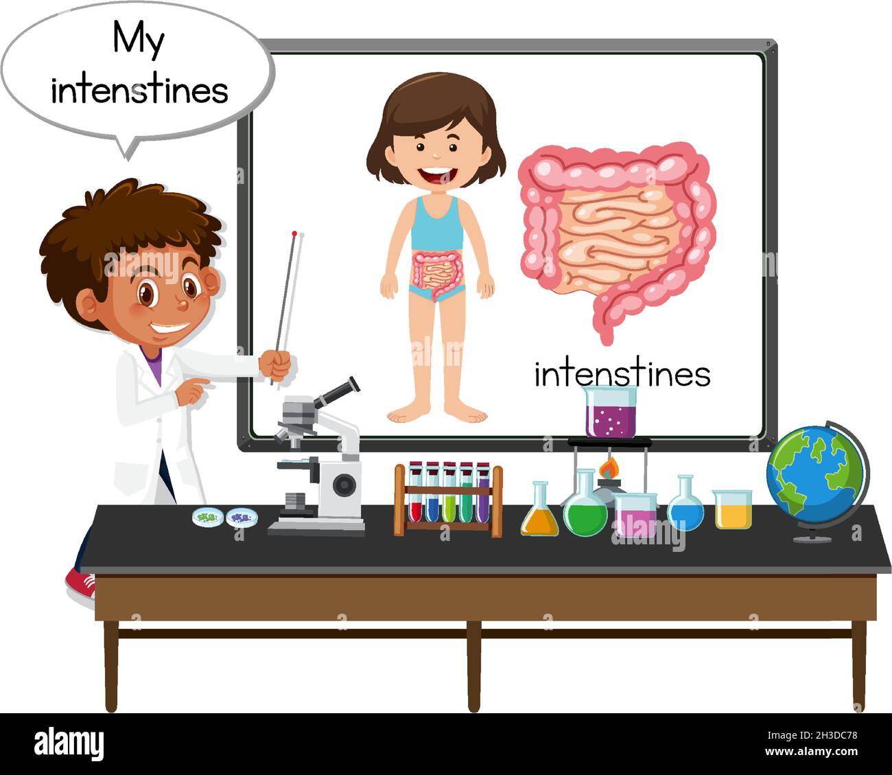 Young doctor explaining intestine organ illustration Stock Vector Image ...