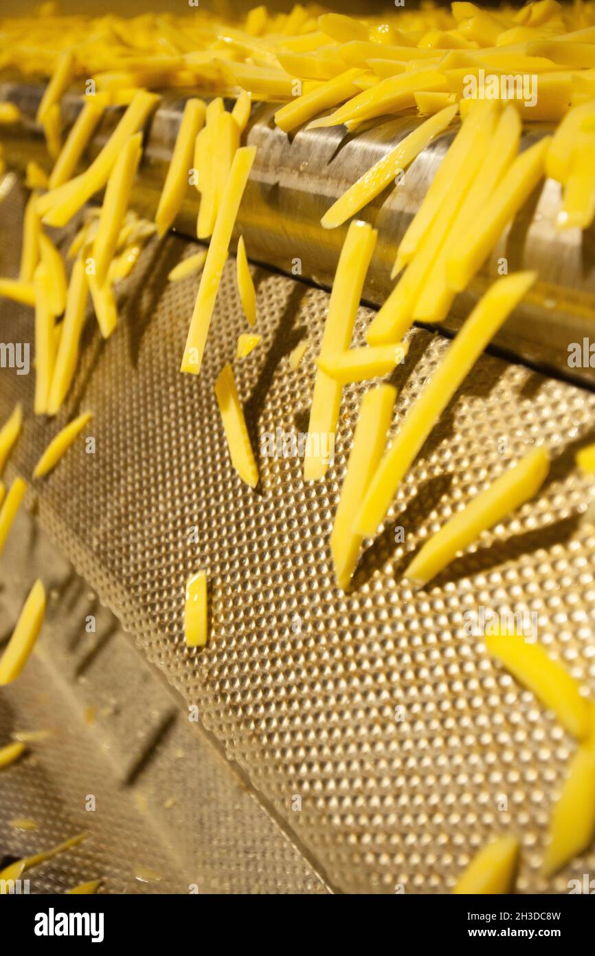 Production line of a potato factory. French fries - fast food Stock ...