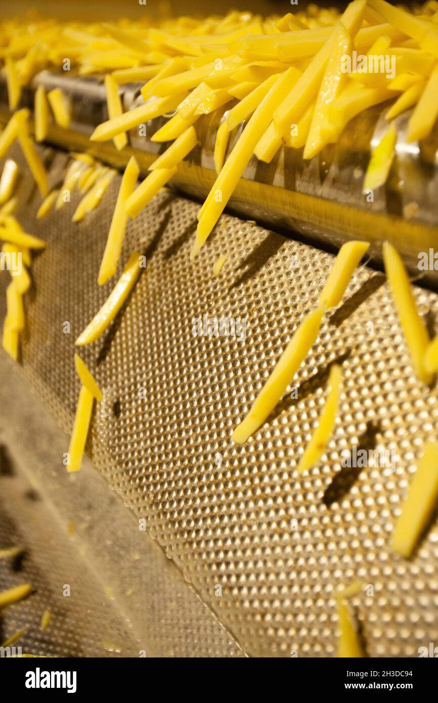 Production line of a potato factory. French fries - fast food Stock ...