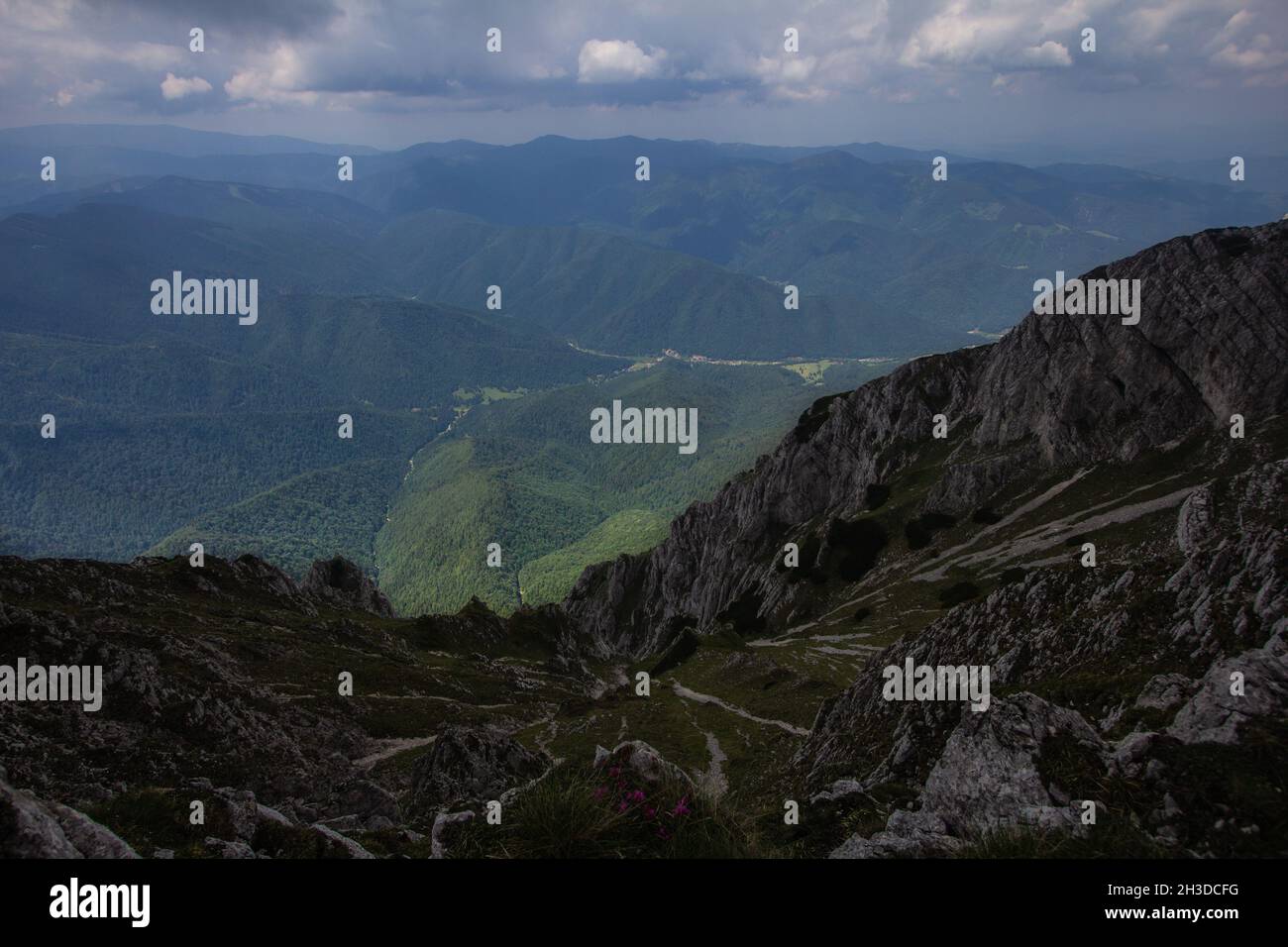 Mountainous ecology hi-res stock photography and images - Alamy