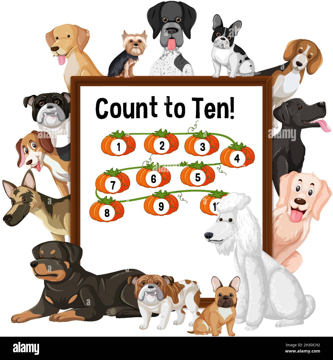Count to Ten board with many different types of dogs illustration Stock ...
