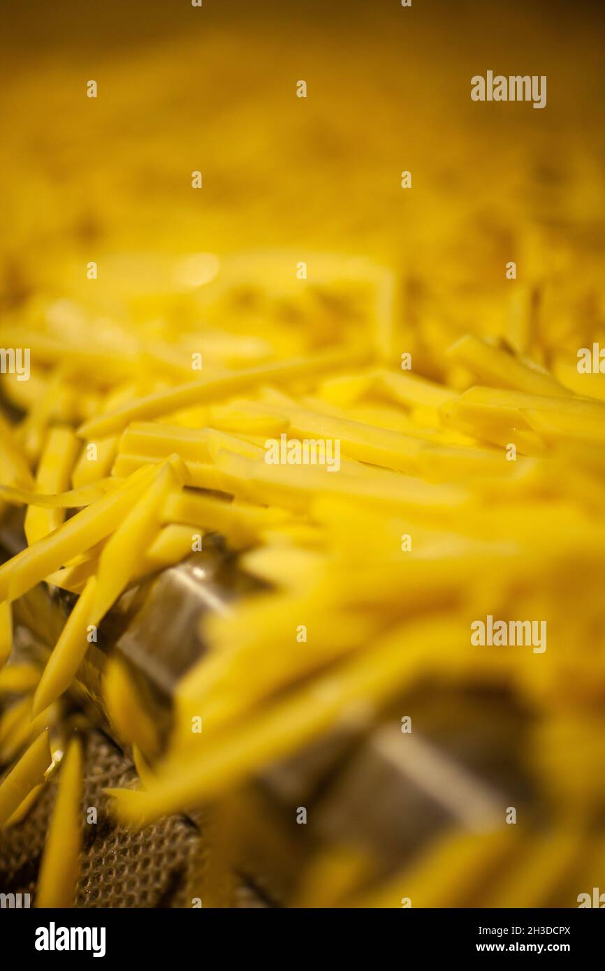 Production line of a potato factory. French fries - fast food Stock ...