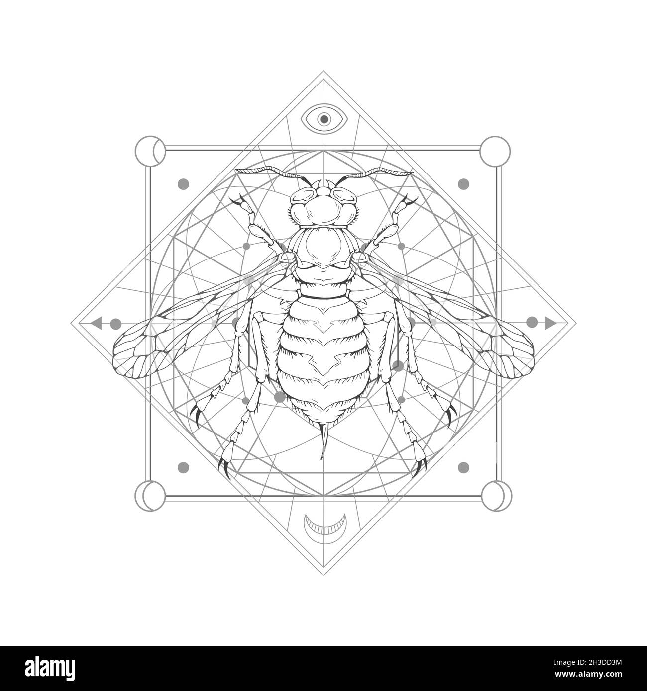 Vector illustration with hand drawn wasp and Sacred geometric symbol on ...
