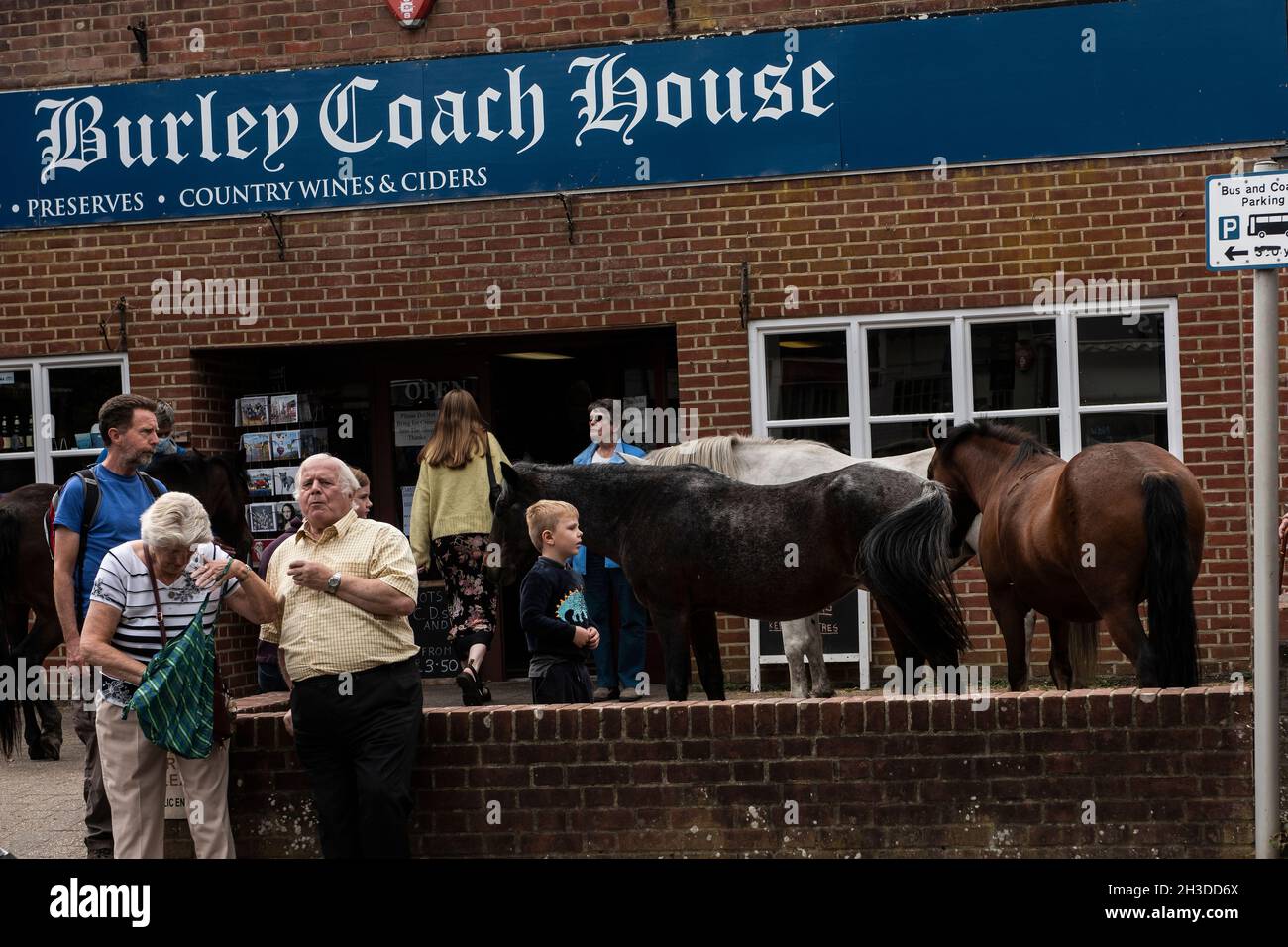 New Forest Drift High Resolution Stock Photography and Images - Alamy