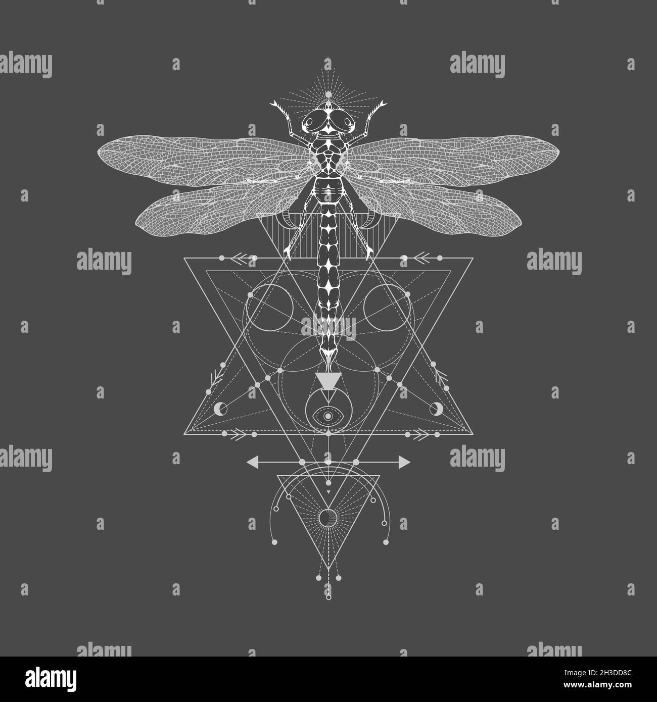 Vector illustration with hand drawn dragonfly and Sacred geometric ...