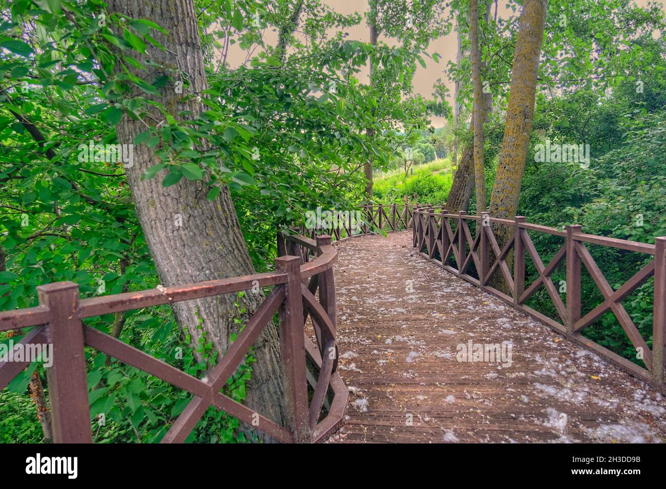 White gravel path pathway hi-res stock photography and images - Alamy
