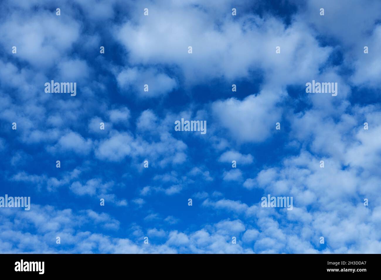 ice laden cirrocumulus, vector vapor cloud texture Stock Photo - Alamy