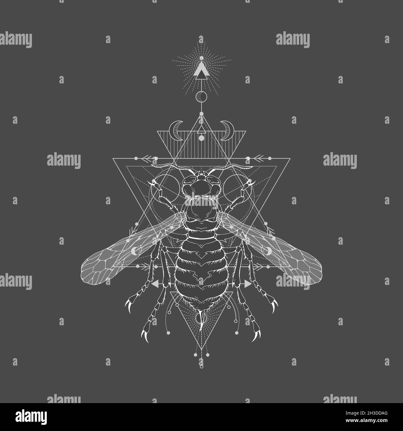 Vector illustration with hand drawn wasp and Sacred geometric symbol on ...