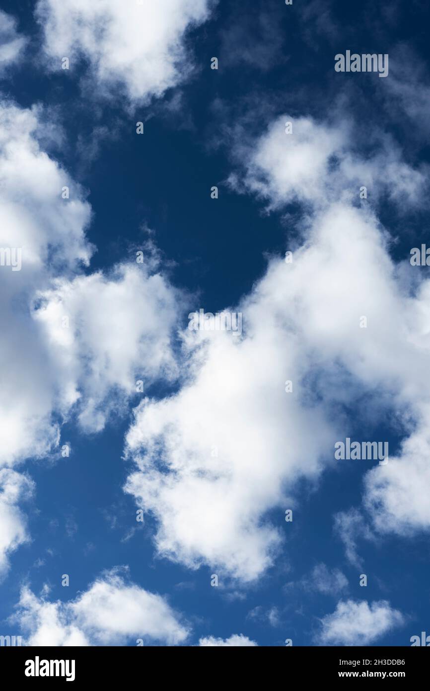 Clouds of water vapor on a summer day. Vector clouds background texture ...