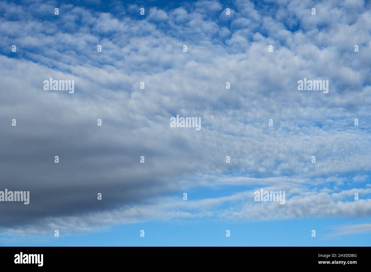 Cirrocumulus threatening rain on a summer day. Vector water vapor cloud ...