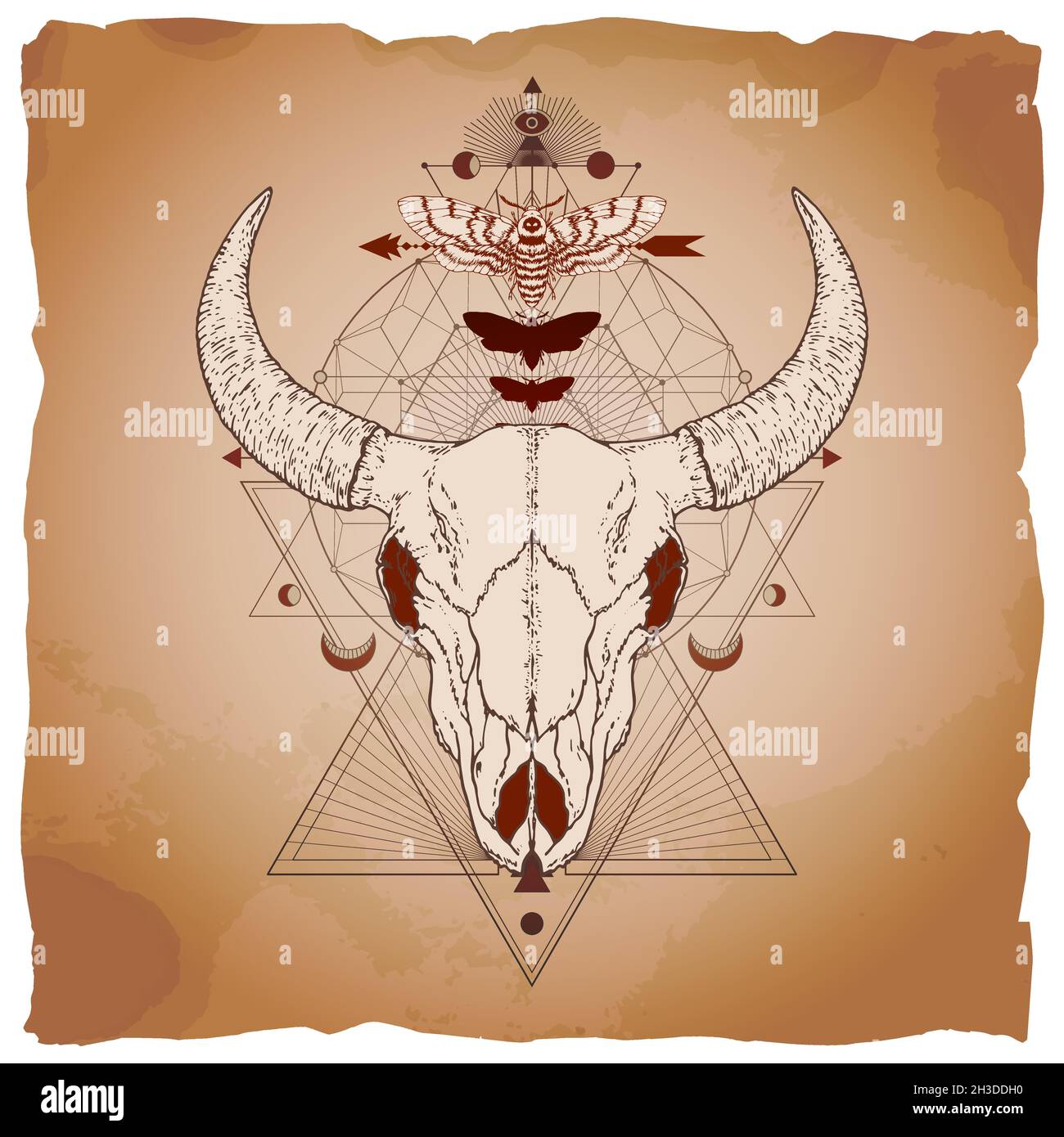 Vector illustration with hand drawn bull skull, dead head moth and ...