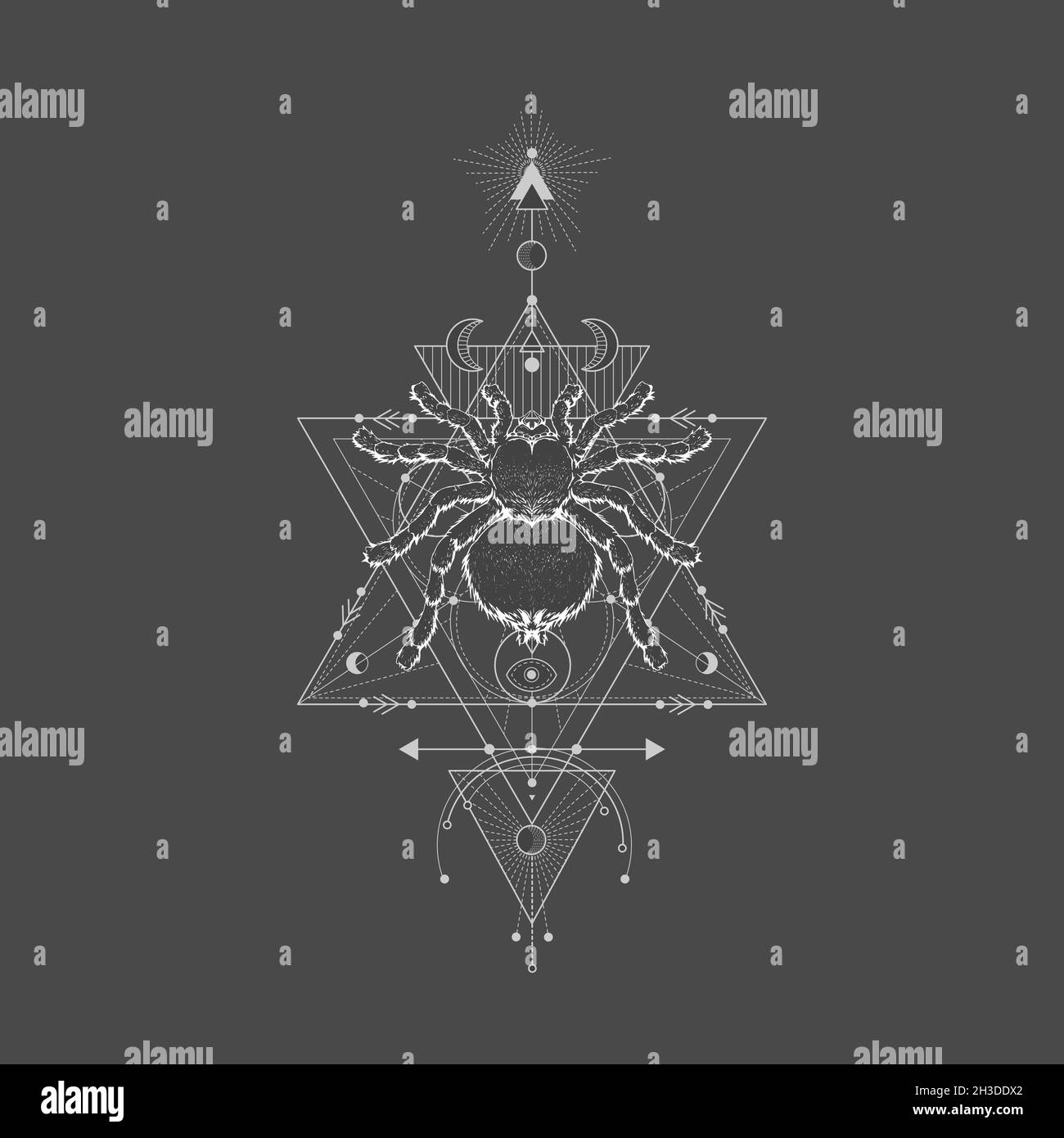 Vector illustration with hand drawn spider tarantula and Sacred ...