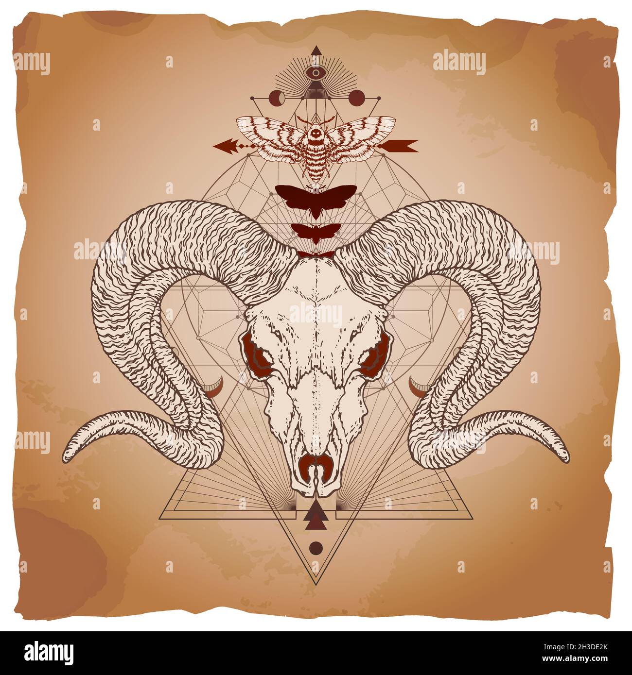 Vector illustration with hand drawn ram skull, dead head moth and ...