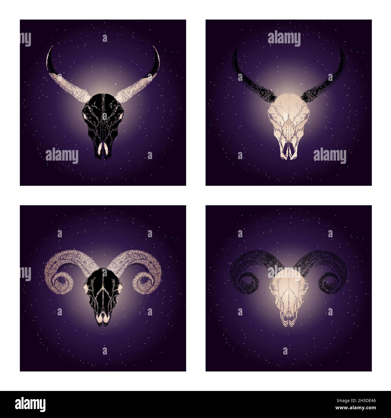 Vector set of four illustrations with hand drawn black skulls buffalo ...