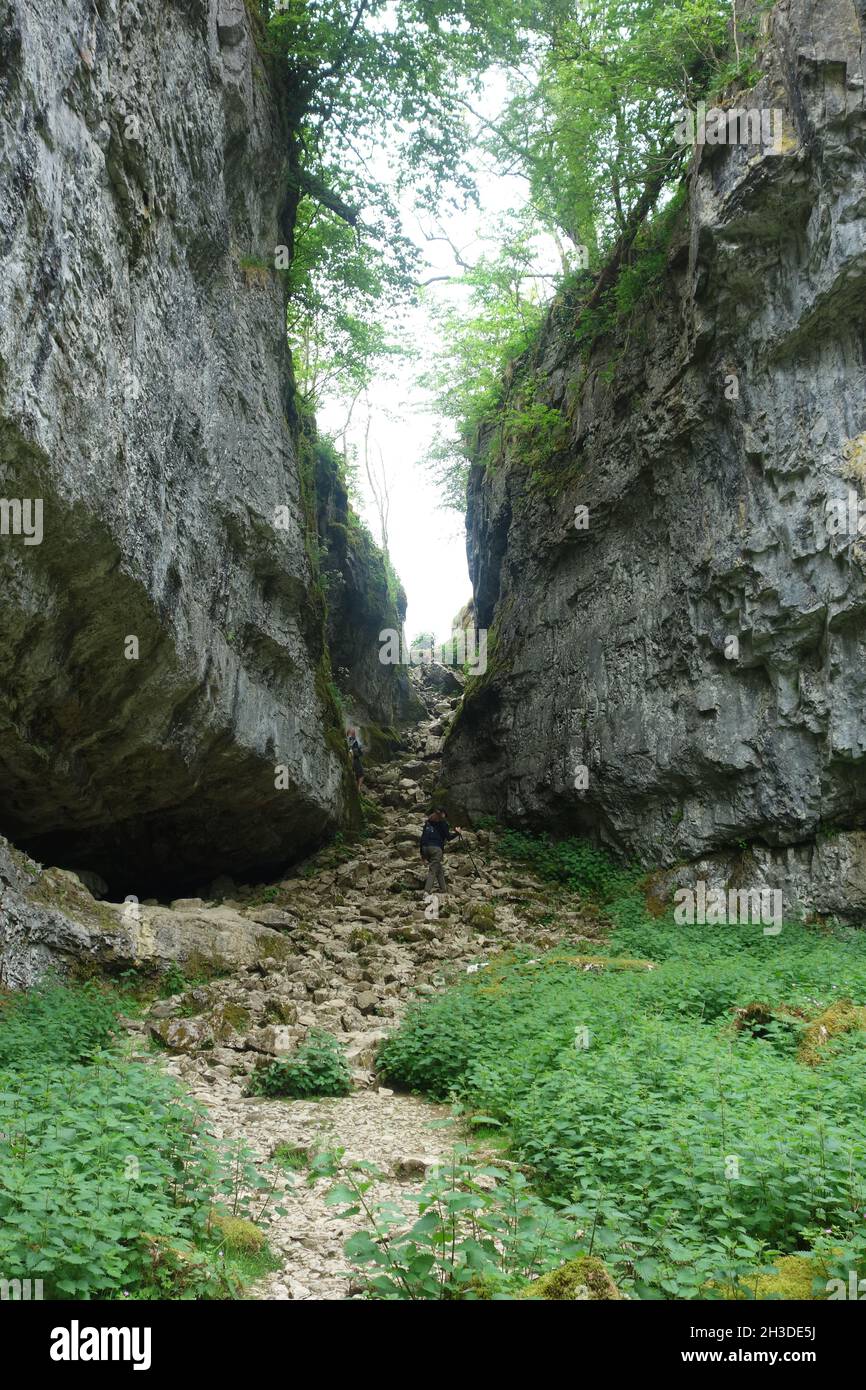 A Couple Climbing up Trow Gill a Narrow Limestone Gorge at the Head of ...
