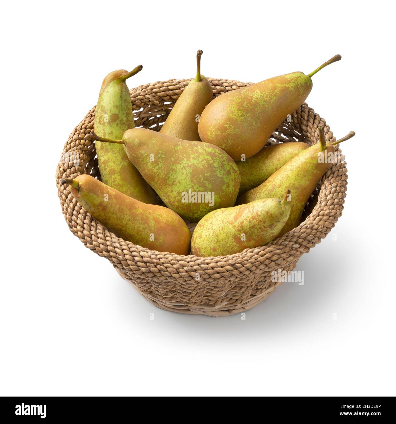 Pear conference harvest hi-res stock photography and images - Alamy