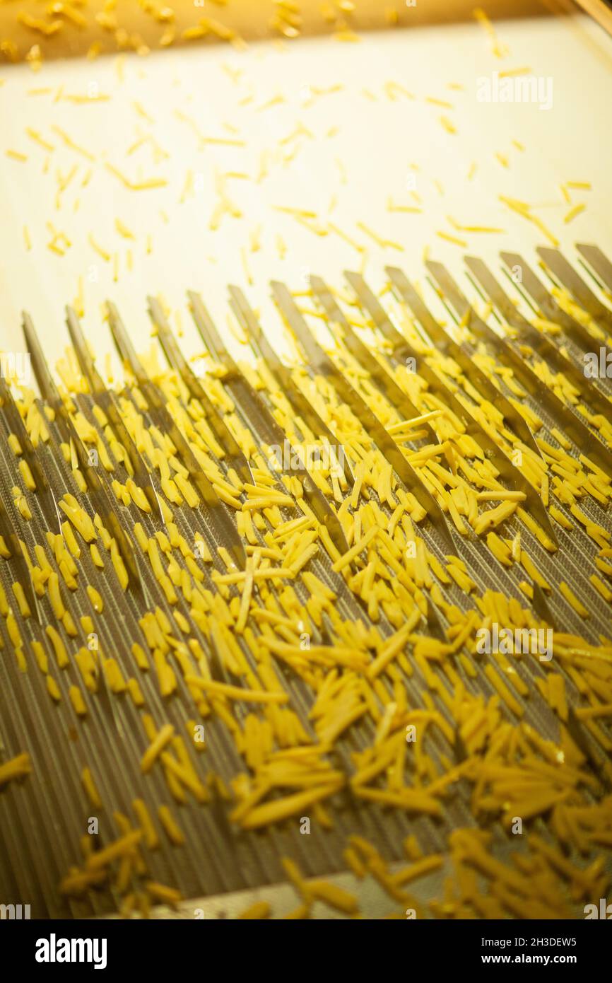 Production line of a potato factory. French fries - fast food Stock ...