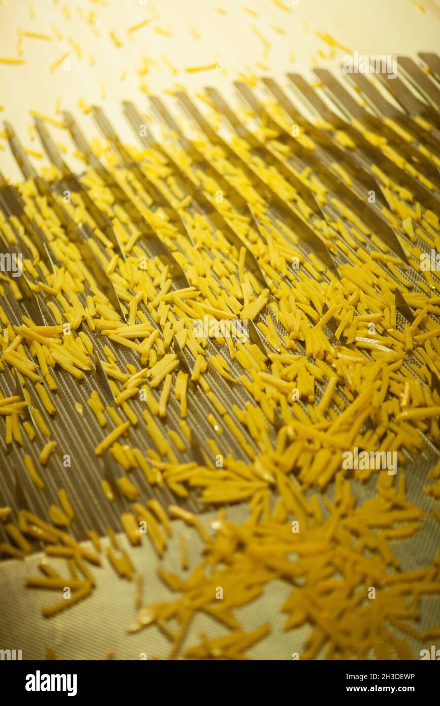 Production line of a potato factory. French fries - fast food Stock ...