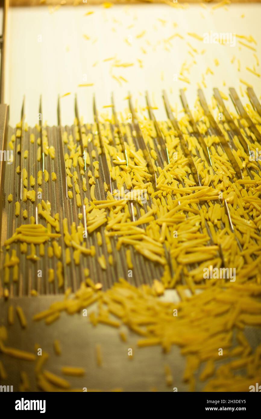Production line of a potato factory. French fries - fast food Stock ...