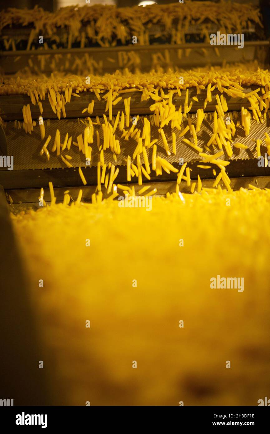 Production line of a potato factory. French fries - fast food Stock ...